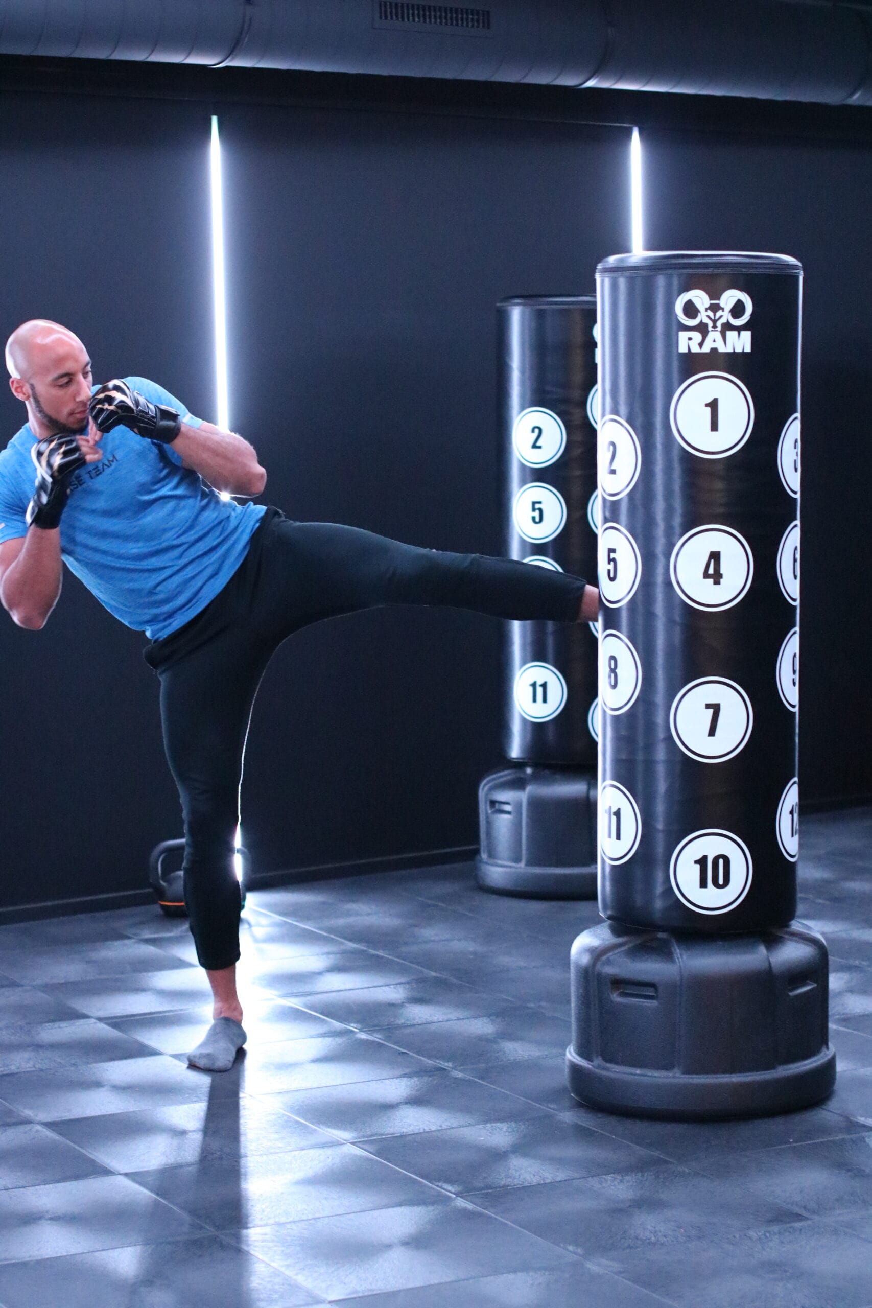 CONCEPTS — BODYBASE